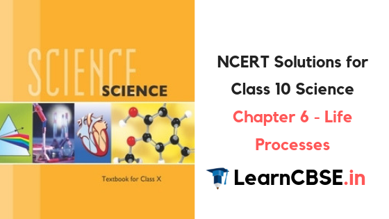 NCERT Solutions for Class 10 Science Chapter 6 Life Processes - Learn CBSE