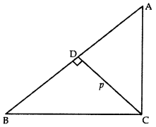 Triangles Class 10 Extra Questions Maths Chapter 6 with Solutions - Learn CBSE