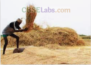 Separation of Substances Class 6 Notes - Learn CBSE