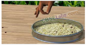 Separation of Substances Class 6 Notes - Learn CBSE