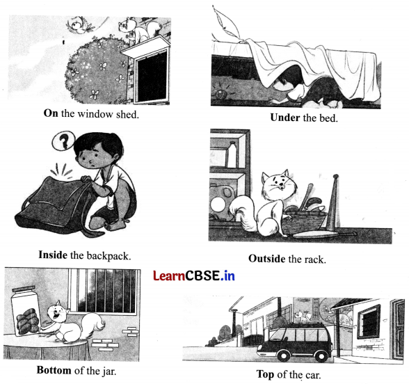 Finding the Furry Cat Class 1 Worksheet with Answers Maths Chapter 1 - Learn CBSE